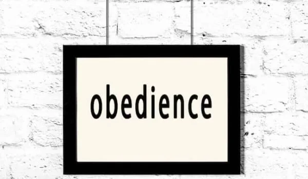 Be Obedient; Follow God's Instructions- and Prosper!